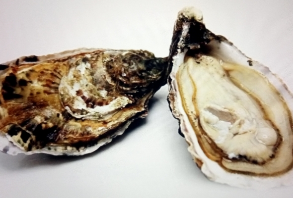 Good Luck Hot Pot Philippines